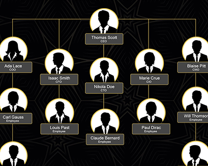 Enterprise Organizational Structure - mashroo3k Saudi